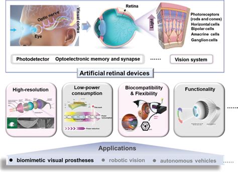 Artificial Retinal Devices For Visual Prostheses Robotic Vision