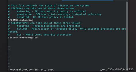内农大 大数据专业课程 linux虚拟机技术续 11新防火墙firewalld管理与selinux管理（ip防火墙为centos6的，7