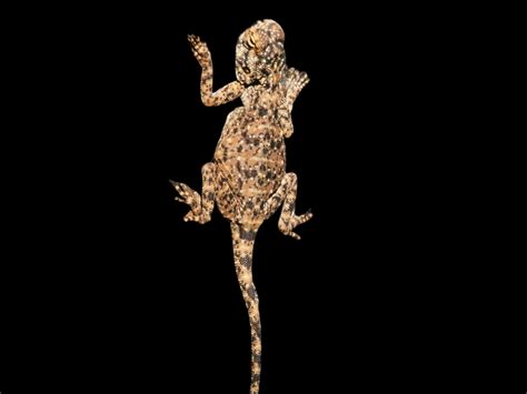 General Scenario Intelligent High Precision Parsing