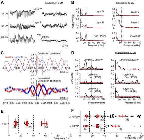 Ipsps In Layer V Cells Are Strongly Coherent With Lfps In The Beta