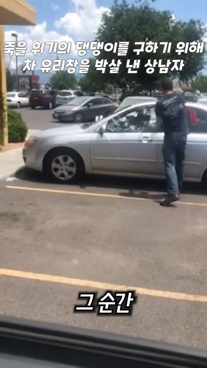 쪄 죽을 위기의 댕댕이를 구하기 위해 차 유리창을 박살 낸 상남자 Youtube