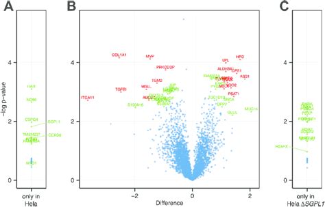 Proteomic Analysis Of The Hela And Hela Δsgpl1 Cell Lines Differential