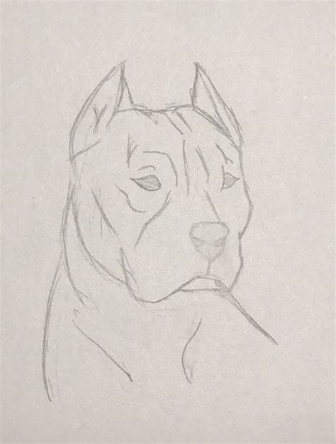 Perros Para Dibujar Dibujos Perros Perritos Para Dibujar