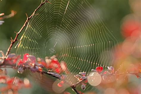 Deepak Wadhwa On Linkedin Top 10 Best Practices For Building Scalable