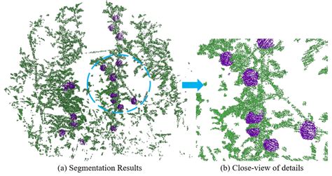 details of the semantic segmentation on point cloud using the proposed