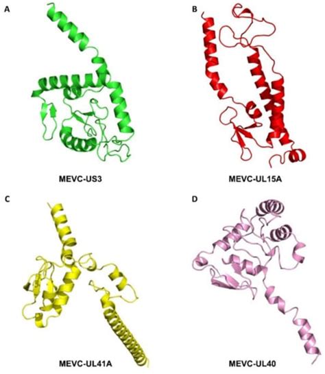 Vaccines Special Issue Advances In Epitope Based Vaccine Design