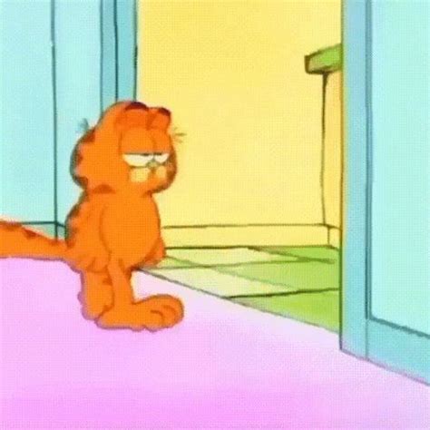 Garfield Cat  Garfield Cat Funny Discover And Share S