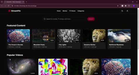 Webdevelopment Nextjs React Typescript Tailwindcss Videostreaming Farhan Ali