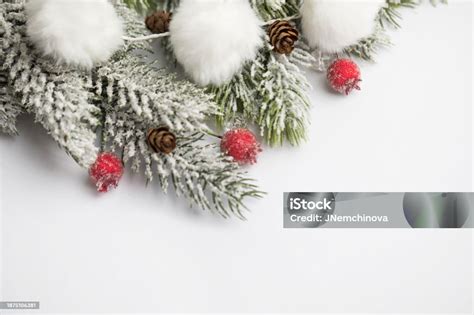 새해와 크리스마스는 복사 공간이 있는 흰색 배경에 테두리를 두르고 있습니다 원뿔과 빨간 겨울 열매와 크리스마스 나무 나뭇 가지