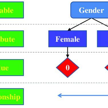 Example Of Nominal Measurement In Gender Classification Download Scientific Diagram