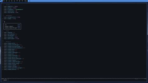 Characters On Status Bar R Neovim