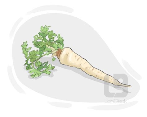 Definition And Meaning Of Parsnip Langeek