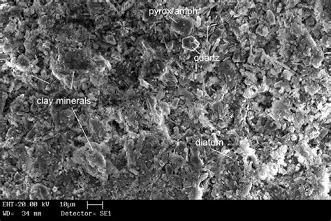 71 Sem Picture Of Cg 1 Sediment Core At 1 Cm Core Depth With