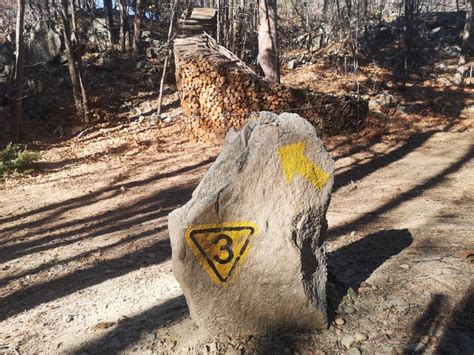 Challand Art Tascapan