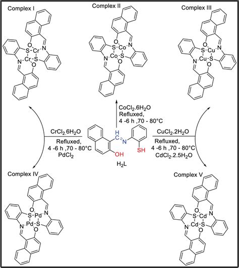 Schematic Representation For The Synthesis Of Metal Complexes I Ii