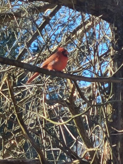 Jenn Meconi On Linkedin Happy New Year 2025 I Am Grateful For The Year Ahead And All The…