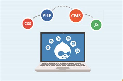 Weblieu Technologies Pvt Ltd A Leading Drupal Website Development Company In Delhi India
