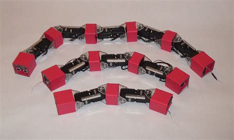 Modular Robotic Snake Learnparallaxcom