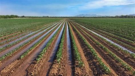 Sensor Based Irrigation Systems What Are Benefits Of Using This