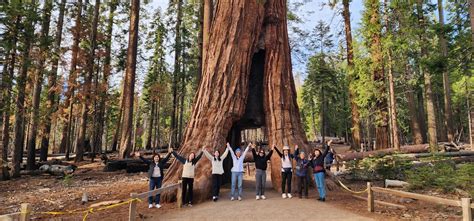 요세미티 당일투어 아침 And 점심 포함 줌줌투어 미국 샌프란시스코