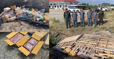 រកឃើញទៀតហើយ ធ្វើការដុ ត កម្ទេ ច បំ ណែ កសា ច់នាំចូលខុសច្បាប់ចំនួន ២ ករណី ស្មើនឹង ៧ ៥៩៥ គីឡូក្រាម