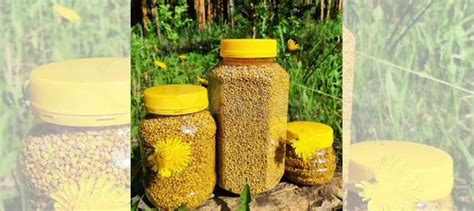 Пыльца пчелинная 2024 купить в Барнауле с доставкой Товары для дома и