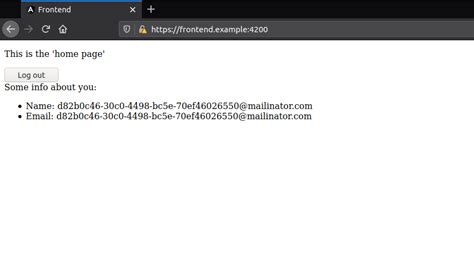 Setting Up An Auth0 Secured Angular Application With Dynamic Runtime