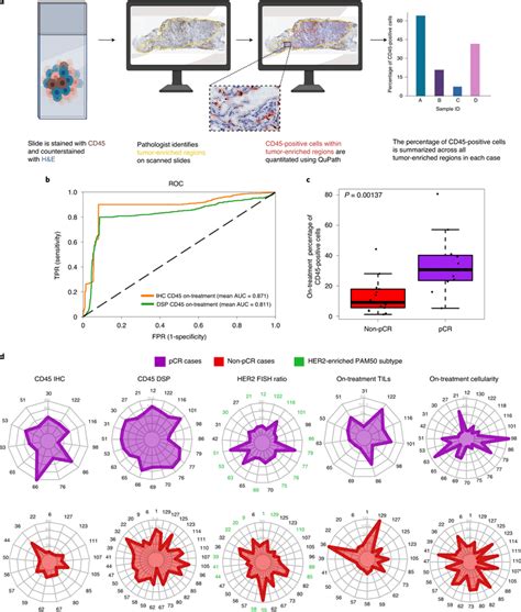 On Treatment Ihc Based Measurement Of Percentage Cd45 Positive Cells In Download Scientific
