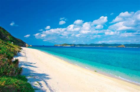 오키나와 이시가키 섬 여행 완벽 가이드 코스추천 액티비티 숙소 맛집 트래블온리