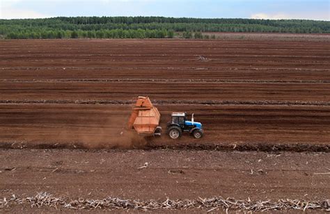 Peat Harvester Tractor On Collecting Extracting Peat Mining And Harvesting Peatland Area Drained