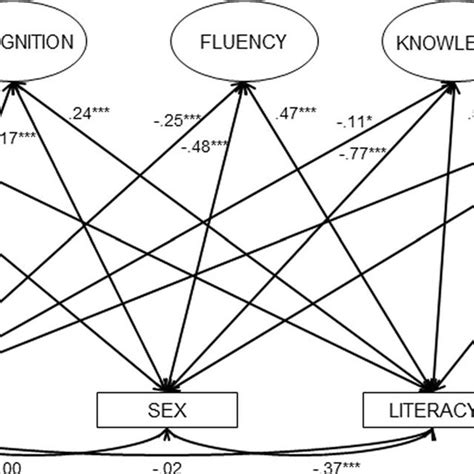 The Demographic Cognitive Correlation Model Standardized Download Scientific Diagram