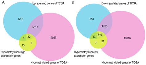 Validation Of The Aberrantly Methylated Differentially Expressed Genes