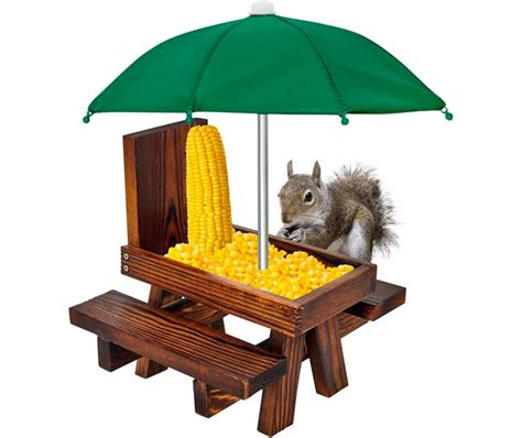 This Picnic Table Squirrel Feeder With Umbrella Is The Perfect Snacking