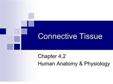 Skeletal Connective Tissue Pptx D Talib Muhadharaty