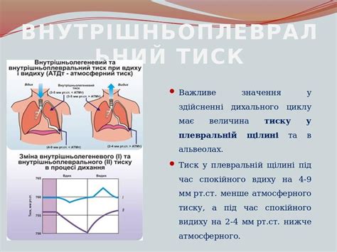 Презентація Дихальні рухи Нейрогуморальна регуляція дихання 8 клас