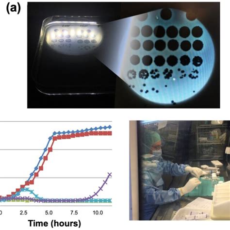 Phagogram And Phage Preparation Techniques Pfus Visualized By Spot Download Scientific Diagram