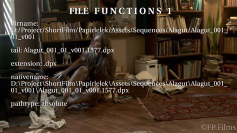 Nuke Tutorial TCL FUNCTIONS Gatimedia