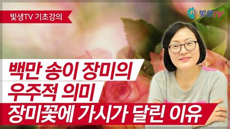 기초강의 장미꽃에 가시가 달린 이유 백만 송이 장미의 우주적 의미 Youtube