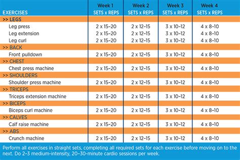 The Ultimate Gym Beginners Workout Plan Muscle And Fitness