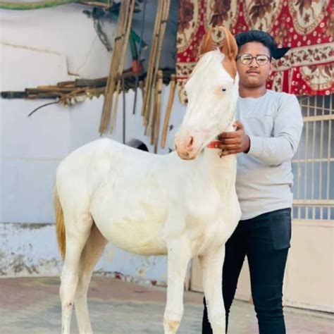 Darbar Manraj Darbar Manraj 14 On Threads