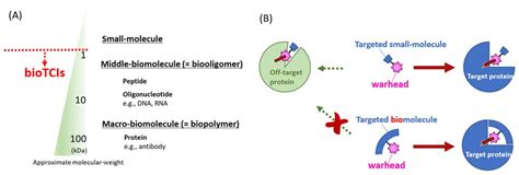 Biomolecular Targeted Covalent Inhibitors Encyclopedia Mdpi