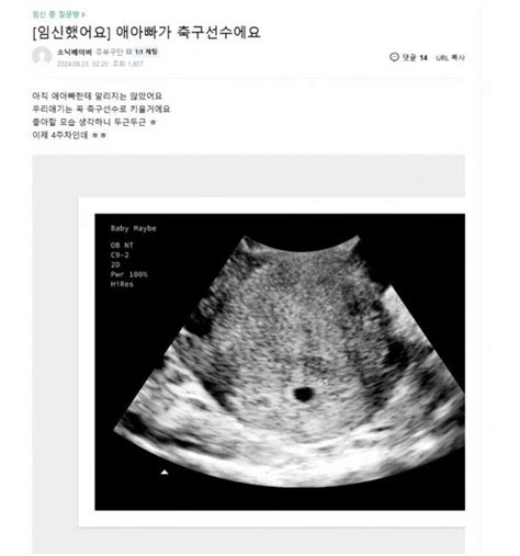 손흥민 협박녀 지목에 와 내가 3억을 받았다고…엉뚱한 신상 털기 네이트 스포츠