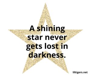 120 Inspiring Star Quotes And Phrases Lil Tigers