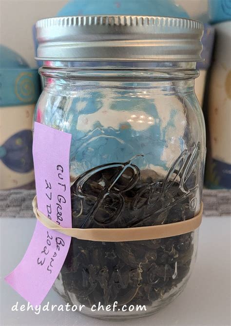 How To Dehydrate Green Beans Dehydrating Green Beans A Step By Step