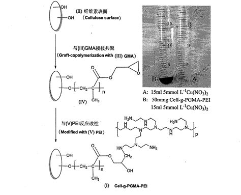 Preparation Method Of Efficient Polyethyleneimine Modified Cellulose Based Heavy Metal Adsorbent