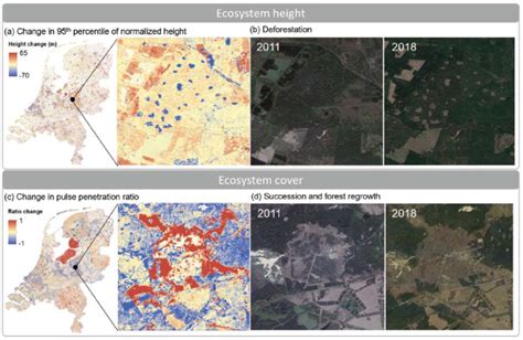 two examples of statistical metrics derived from airborne lidar point