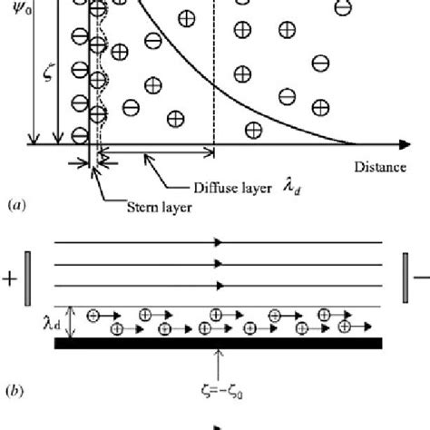 Schematic Illustration Of Electricial Double Layer Edl And