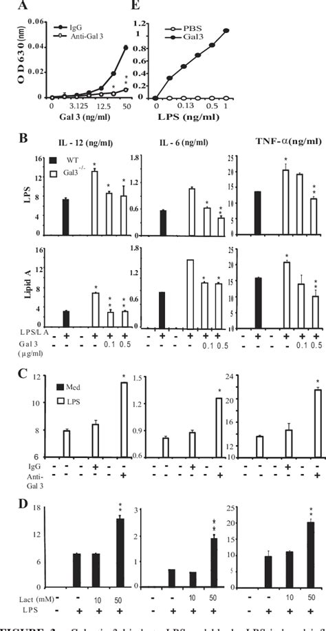 Figure 2 From Galectin 3 Is A Negative Regulator Of Lipopolysaccharide Mediated Inflammation1