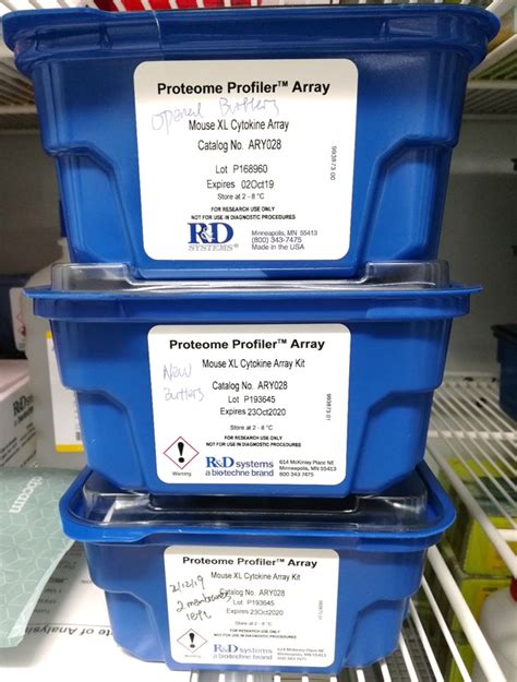 Big Cytokine Array Kit Kitreagent Review Big Cytokine Array Kit Kitreagent Review