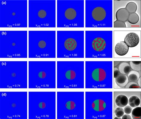 Morphology Evolution Of Simulated Colloids And Representative Tem